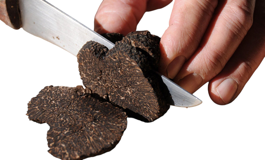 Fresh Black Truffle - Tuber Melanosporum (Slices) | Terra Ross