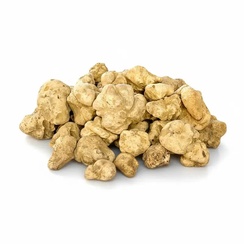 Fresh White Truffle - Tuber Magnatum (Huge Size) | Terra Ross